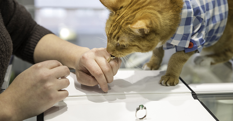 In Business, Pets Help Foster Connections