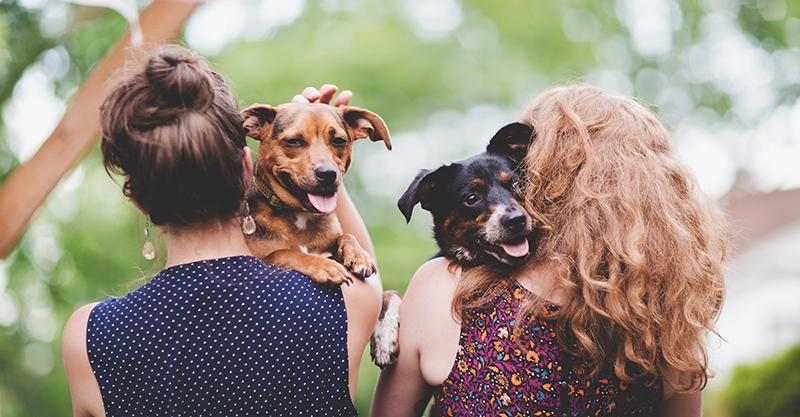 Pet Photo Contest Winners