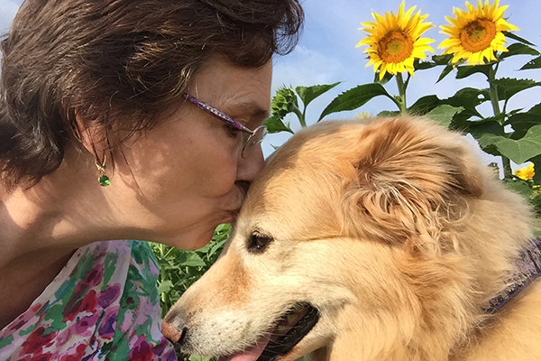 Therapy Dog Teams Provide Comfort and Healing Beyond Words