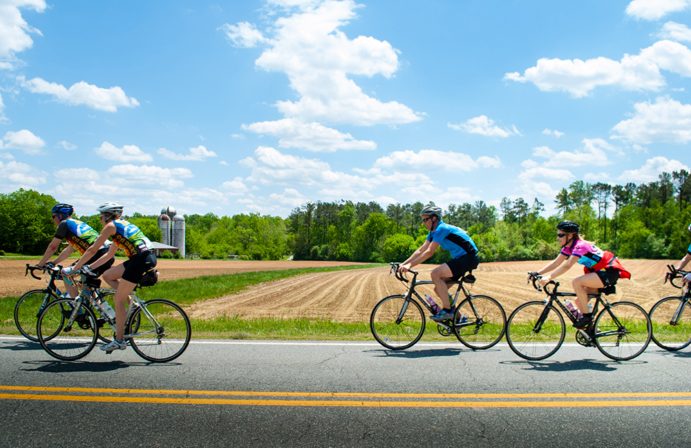 Cycling and Agritourism - The Laurel of Asheville