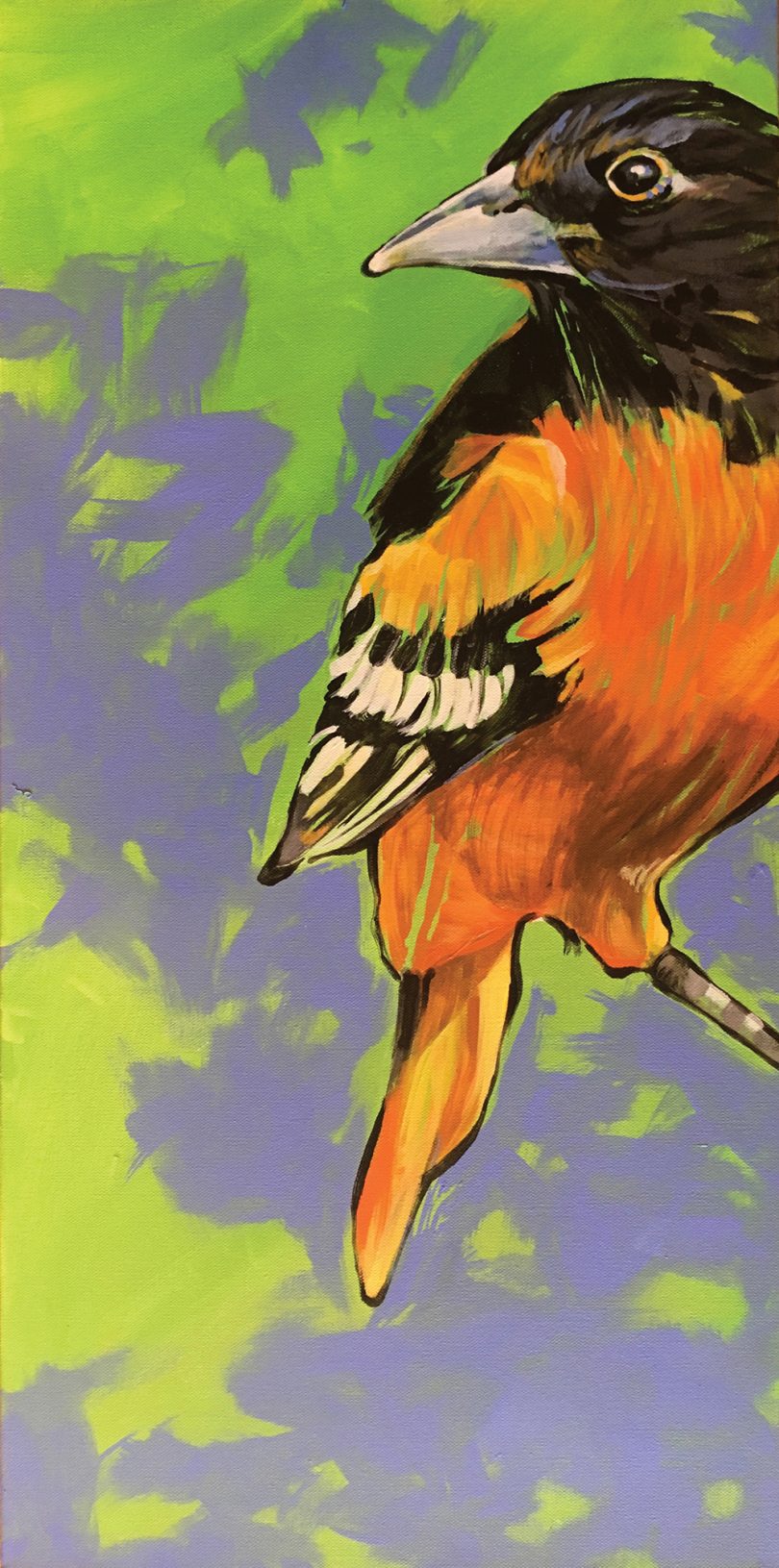 Bird Art for Bird Conservation - The Laurel of Asheville