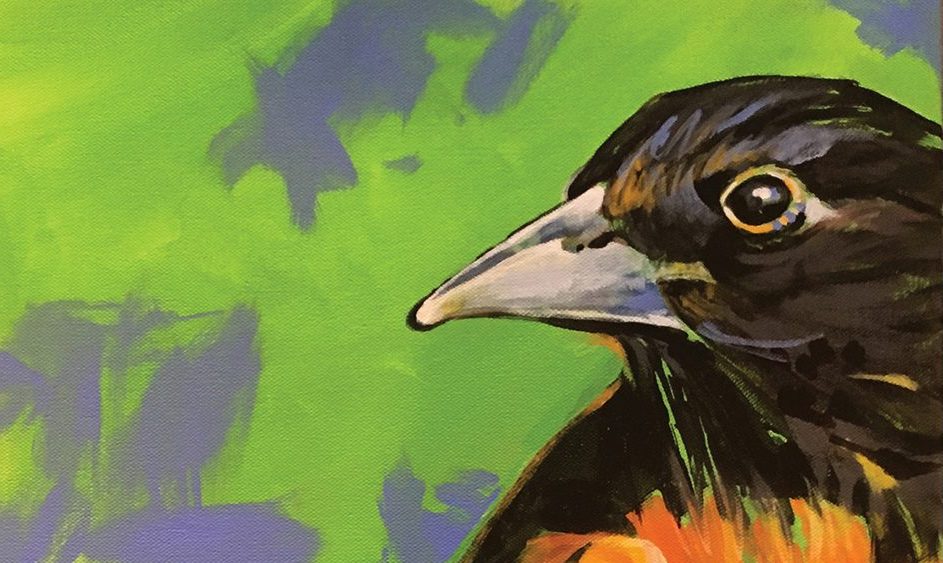 Bird Art for Bird Conservation - The Laurel of Asheville