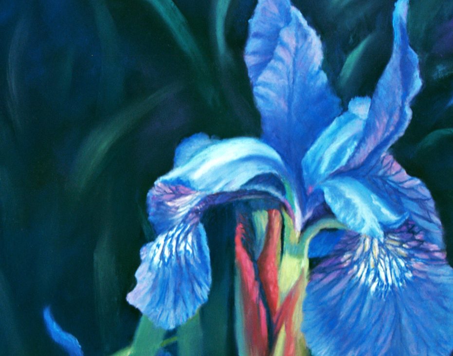 Painter Susan Meyer Sinyai - The Laurel of Asheville