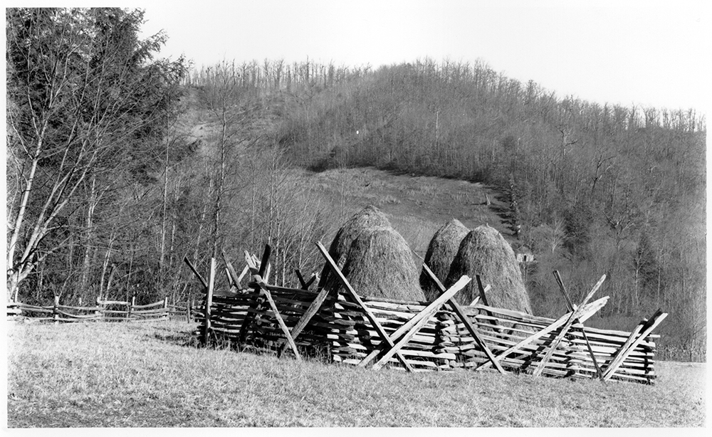 Digital Heritage Moment: Fences and Fence Laws - The Laurel of Asheville