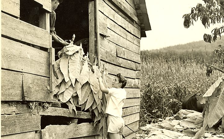 Old Photos Bring Our Barn History to Life - The Laurel of Asheville