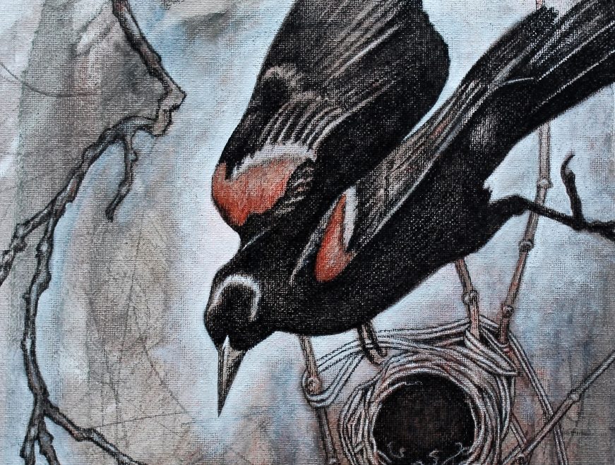 Works by Sheri Howe Displayed at F.W. Gallery at Woolworth Walk - The ...