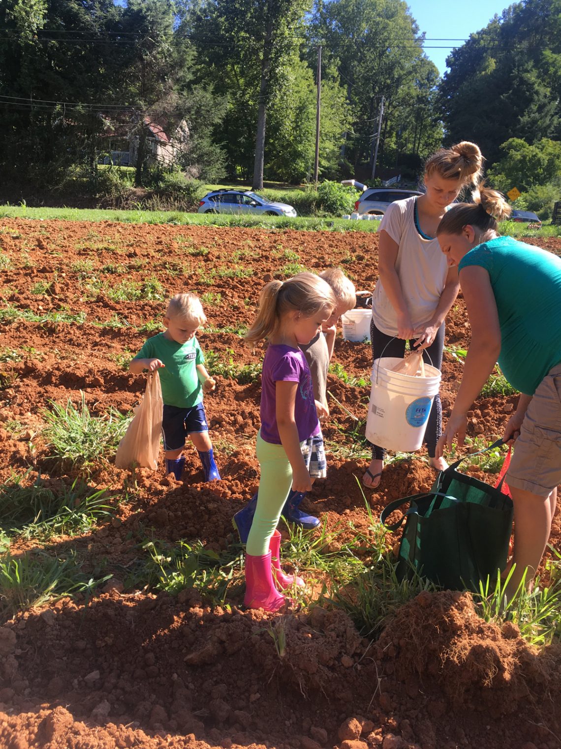 Gleaning Project Collects, Distributes Leftover Harvest - The Laurel of ...