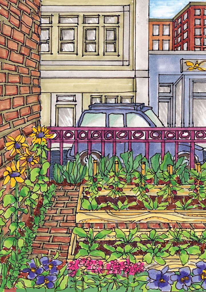 An Urban Garden - The Laurel of Asheville