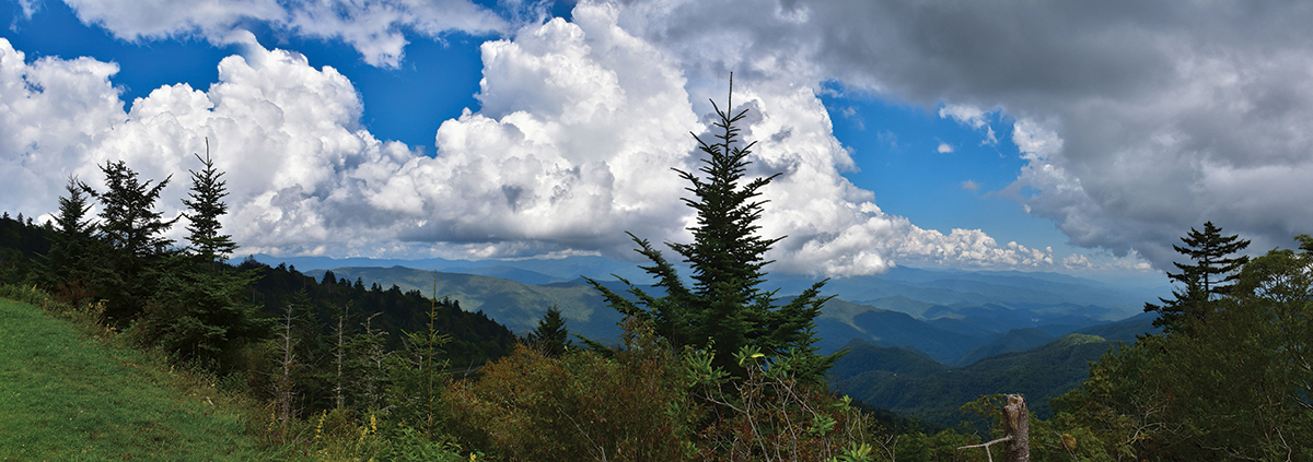 Finding Social Distance Outdoors - The Laurel of Asheville