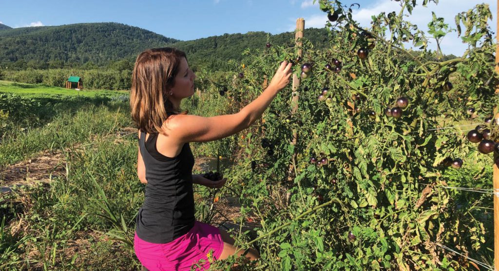 Appalachian Farms Feeding Families - The Laurel of Asheville