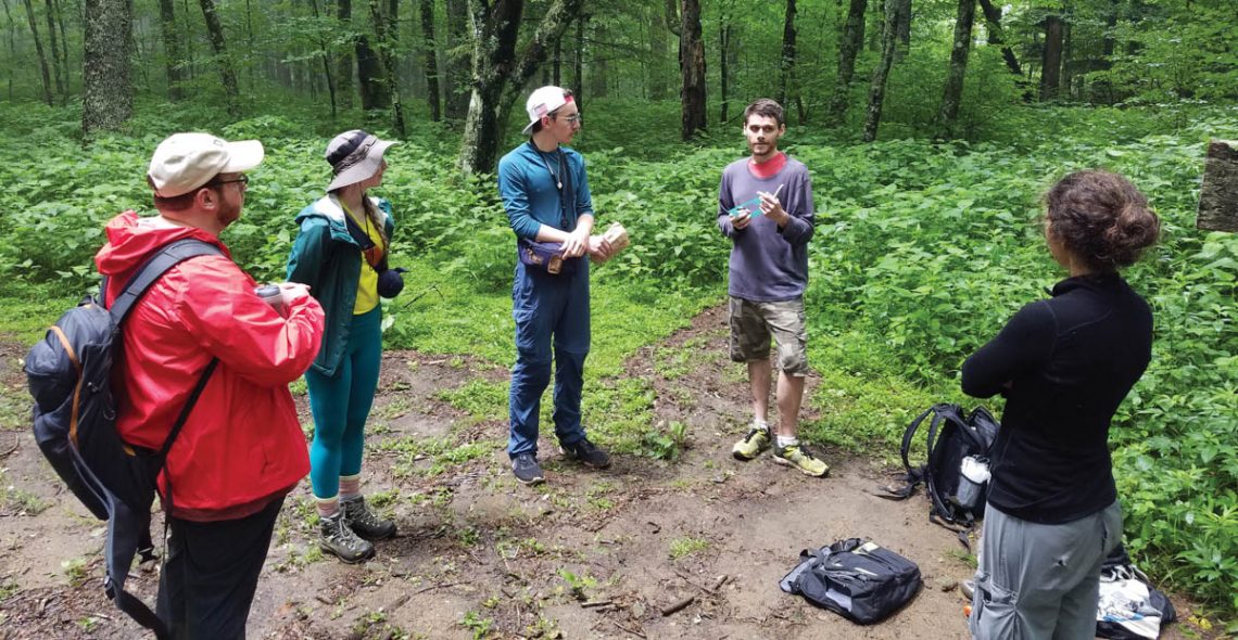 Cataloging Biodiversity in the Smokies - The Laurel of Asheville