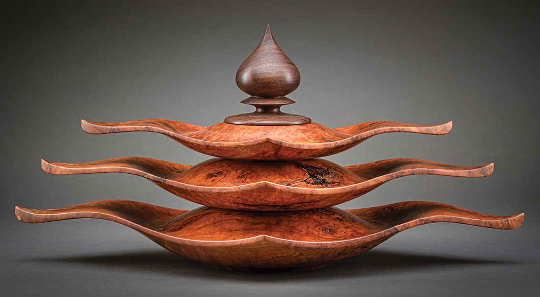 SHCG Virtual Fair Features Mike Sorge - The Laurel of Asheville