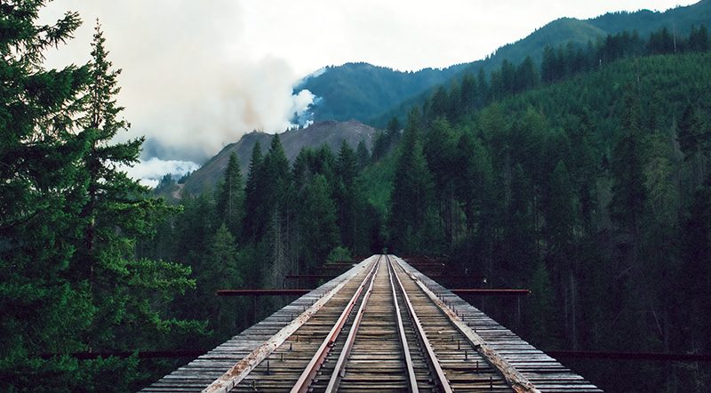 Conservation: Ecusta Trail - The Laurel of Asheville