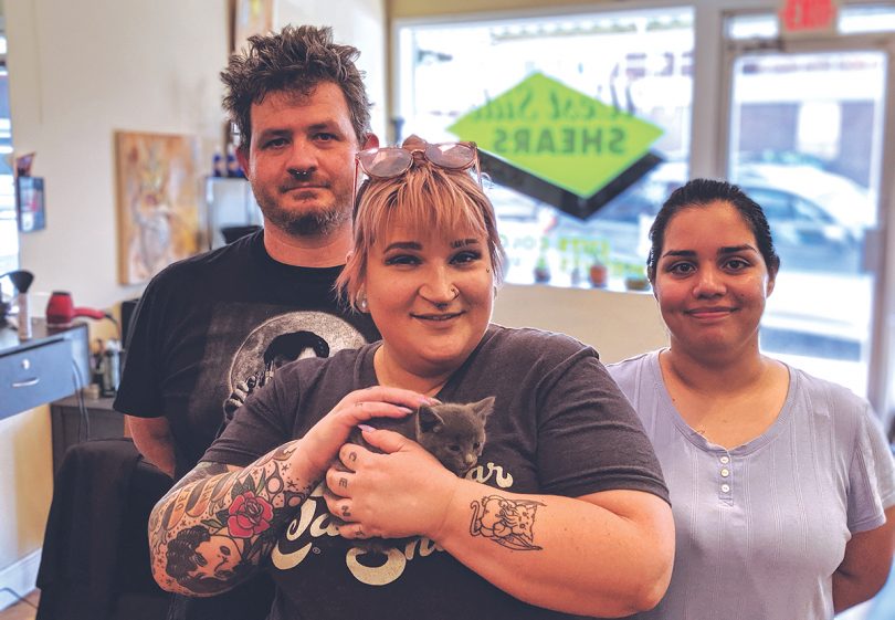 Spotlight On: Asheville Cat Weirdos - The Laurel of Asheville