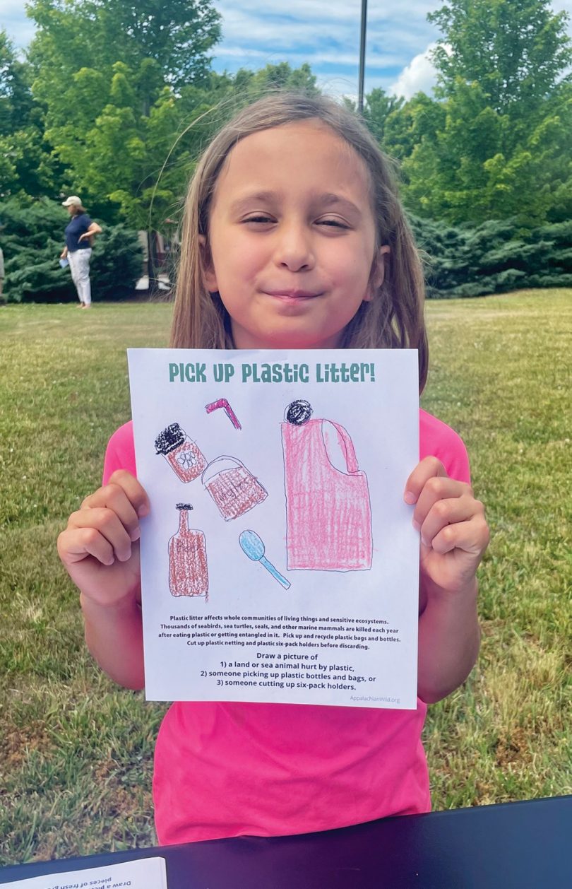 Sustainability: Teaching Young People About Wildlife - The Laurel of ...