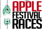 The 46th Annual Apple Festival Races Return September 4 - The Laurel of ...