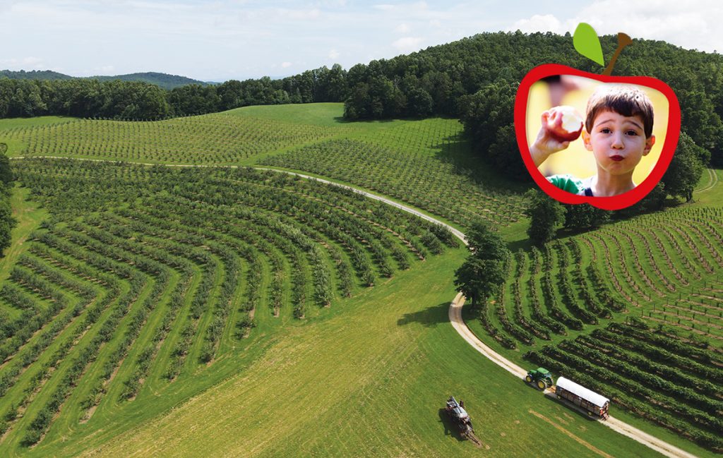 Travel Henderson County’s Apple Orchard Trail This Fall - The Laurel of ...