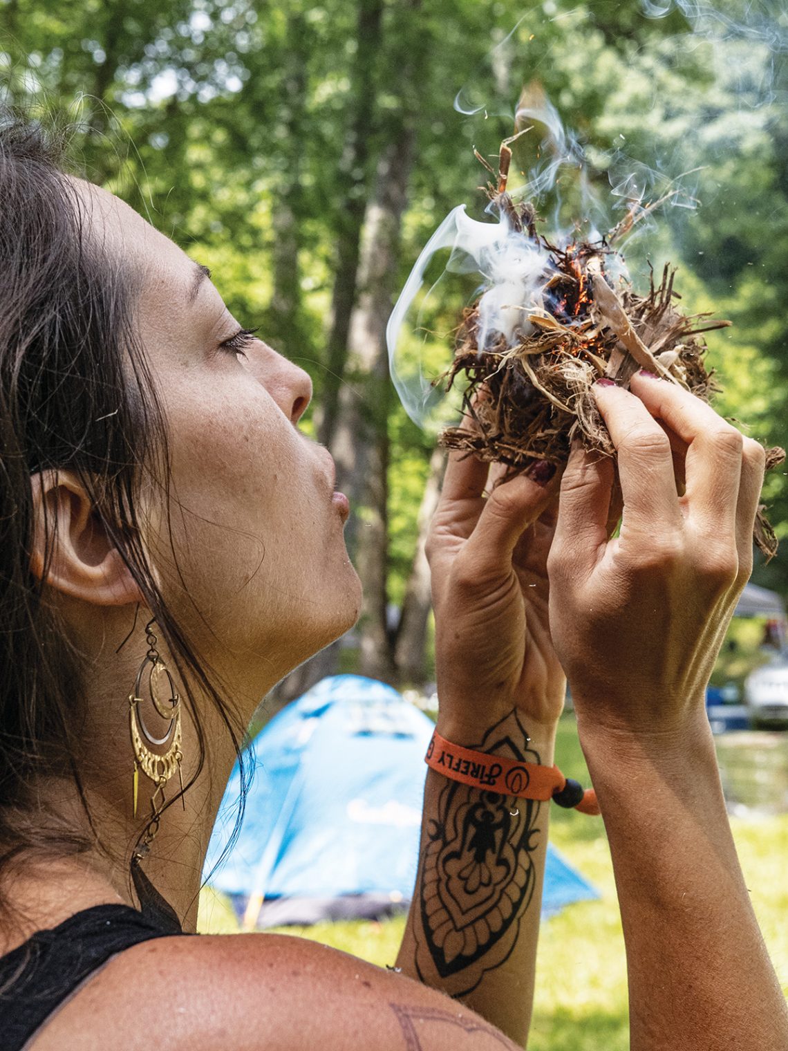Earthskill Workshops and Annual Firefly Gathering - The Laurel of Asheville