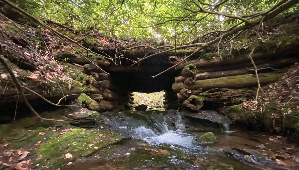 Conservation: Privately Donated Land Protects Brevard Watershed - The ...