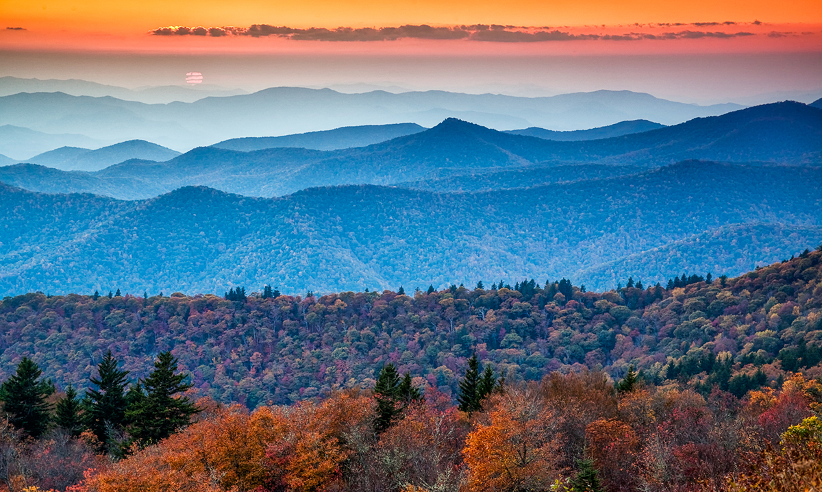 Blue Moon Metal Prints Opens in Brevard - The Laurel of Asheville