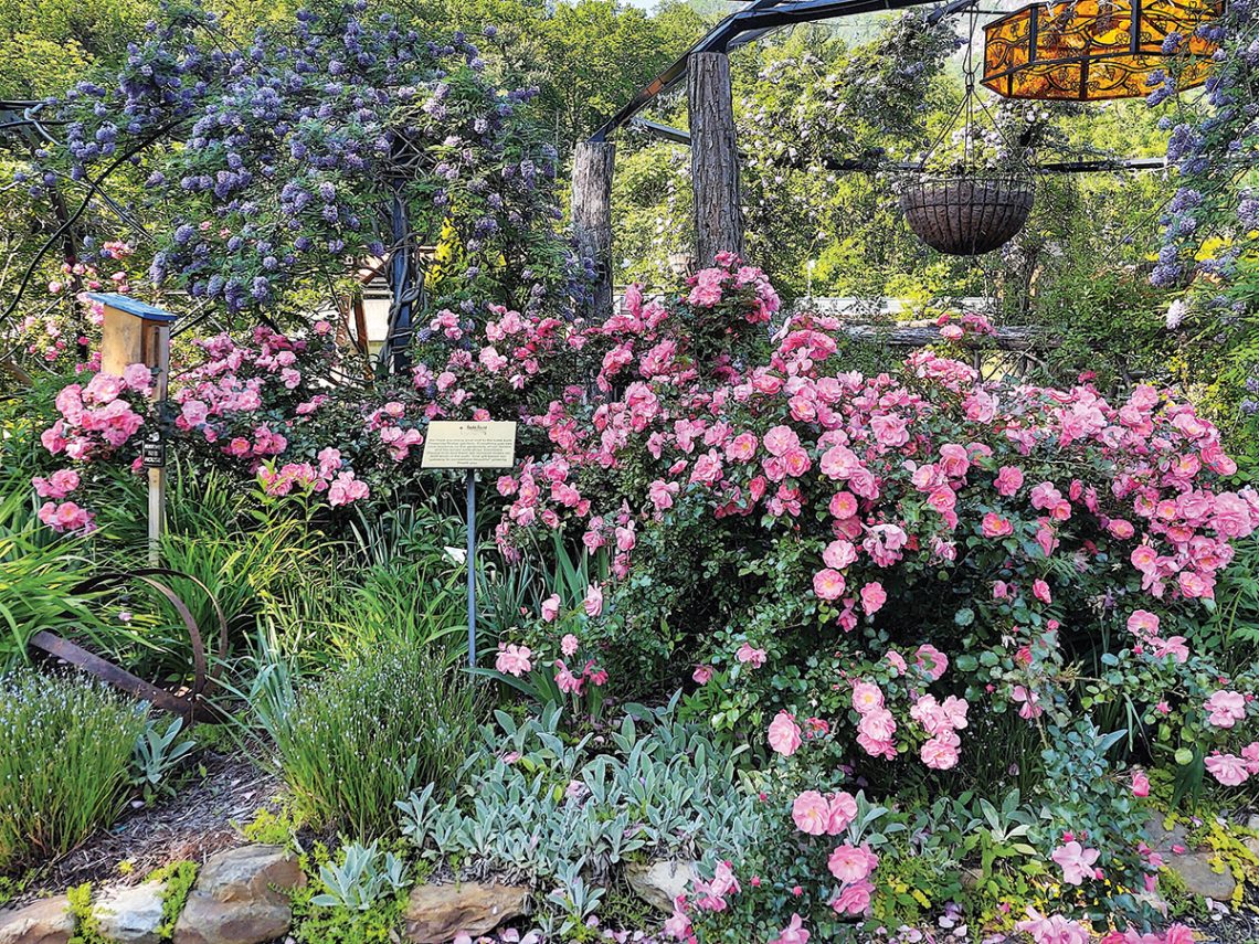 Spotlight On: Lake Lure's Flowering Bridge - The Laurel of Asheville