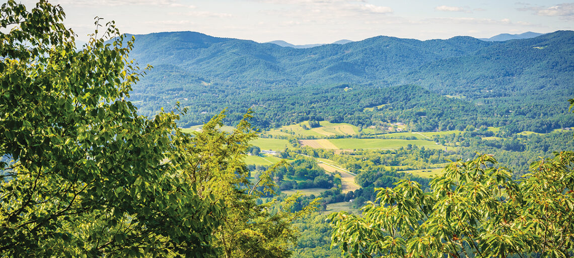 Conservation: A Conservation Partnership Success - The Laurel of Asheville