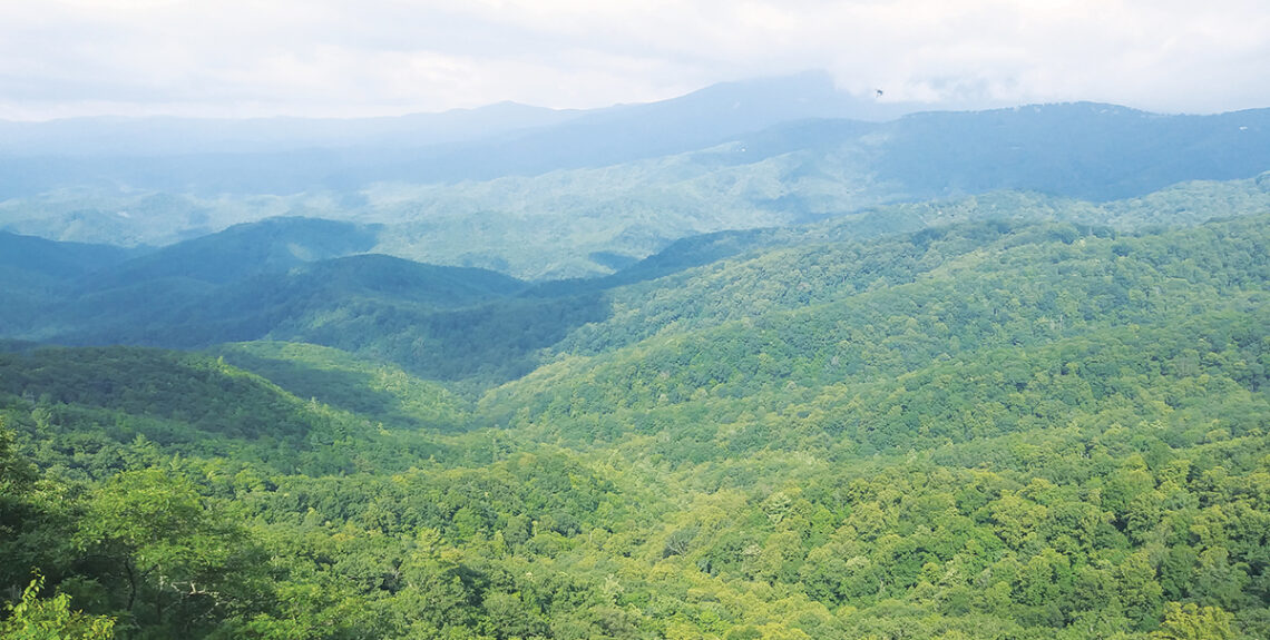 Foothills Conservancy Protection of Johns River Headwaters, Blowing ...