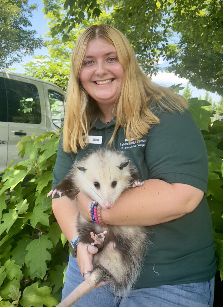 The Wild Truth: Ambassador Animals - The Laurel of Asheville