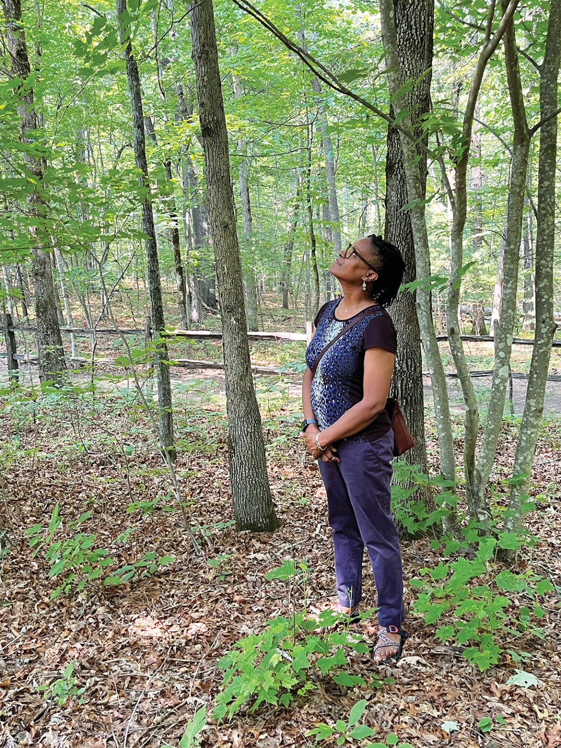 On a Personal Note: Mindful Birding with LaShanda Brown - The Laurel of ...