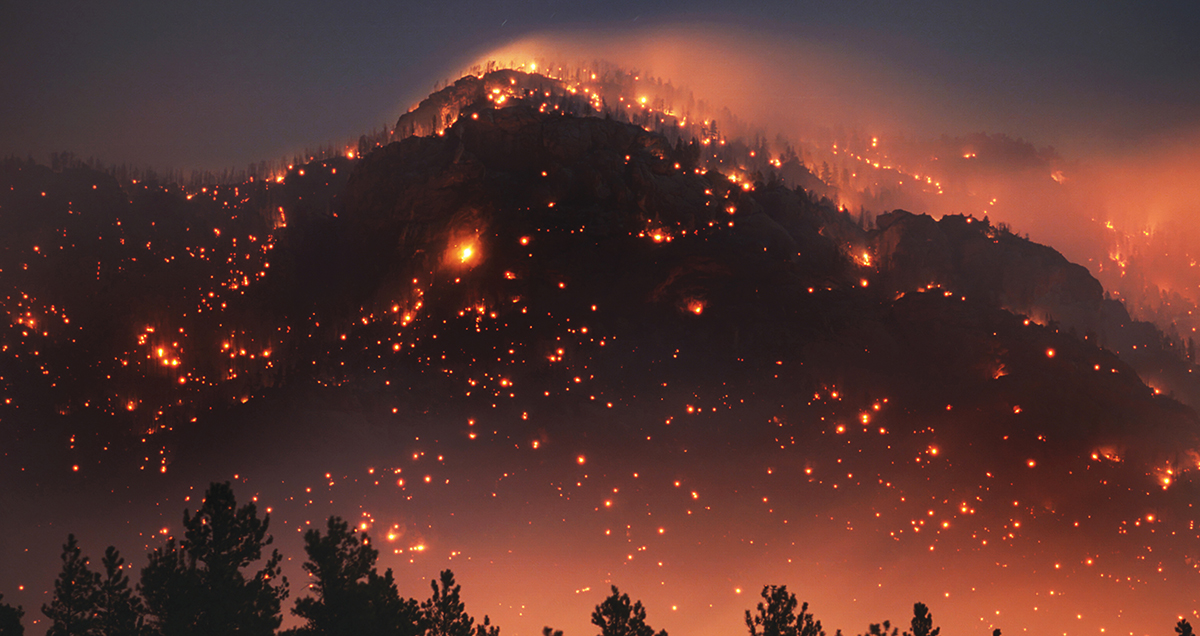 The Wild Truth: What to Know About Wildfire Season in the Southern ...