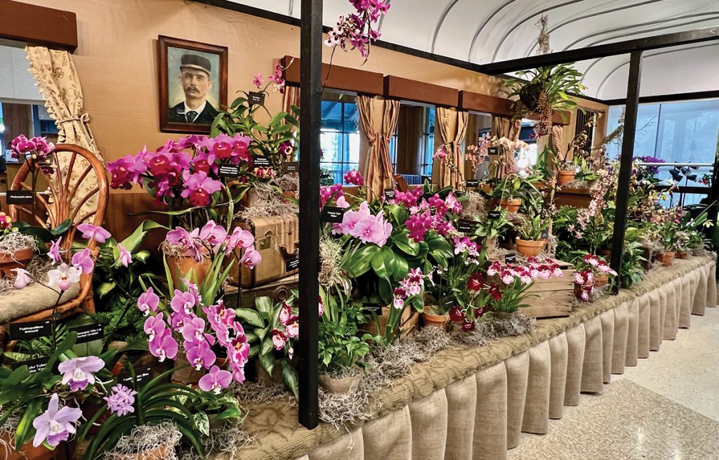 House of Orchids Comes to NC Arboretum - The Laurel of Asheville