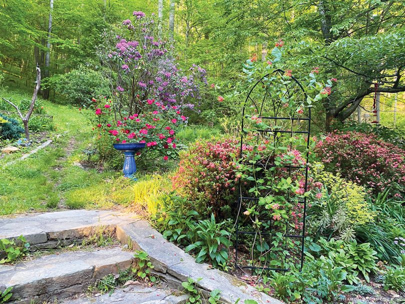 Conservation: Habitat In Your Own Yard ~ A New Paradigm Putting Nature ...