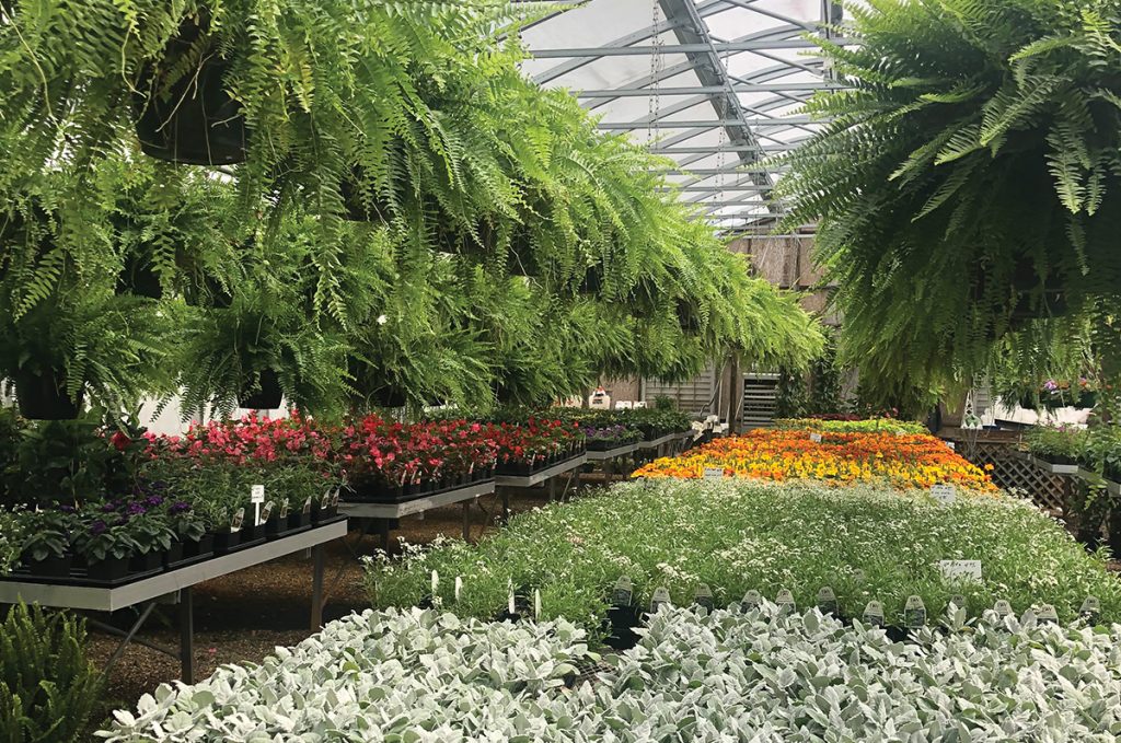 Home & Garden: Ray’s Florist & Greenhouse ~ A Legacy of Homegrown ...