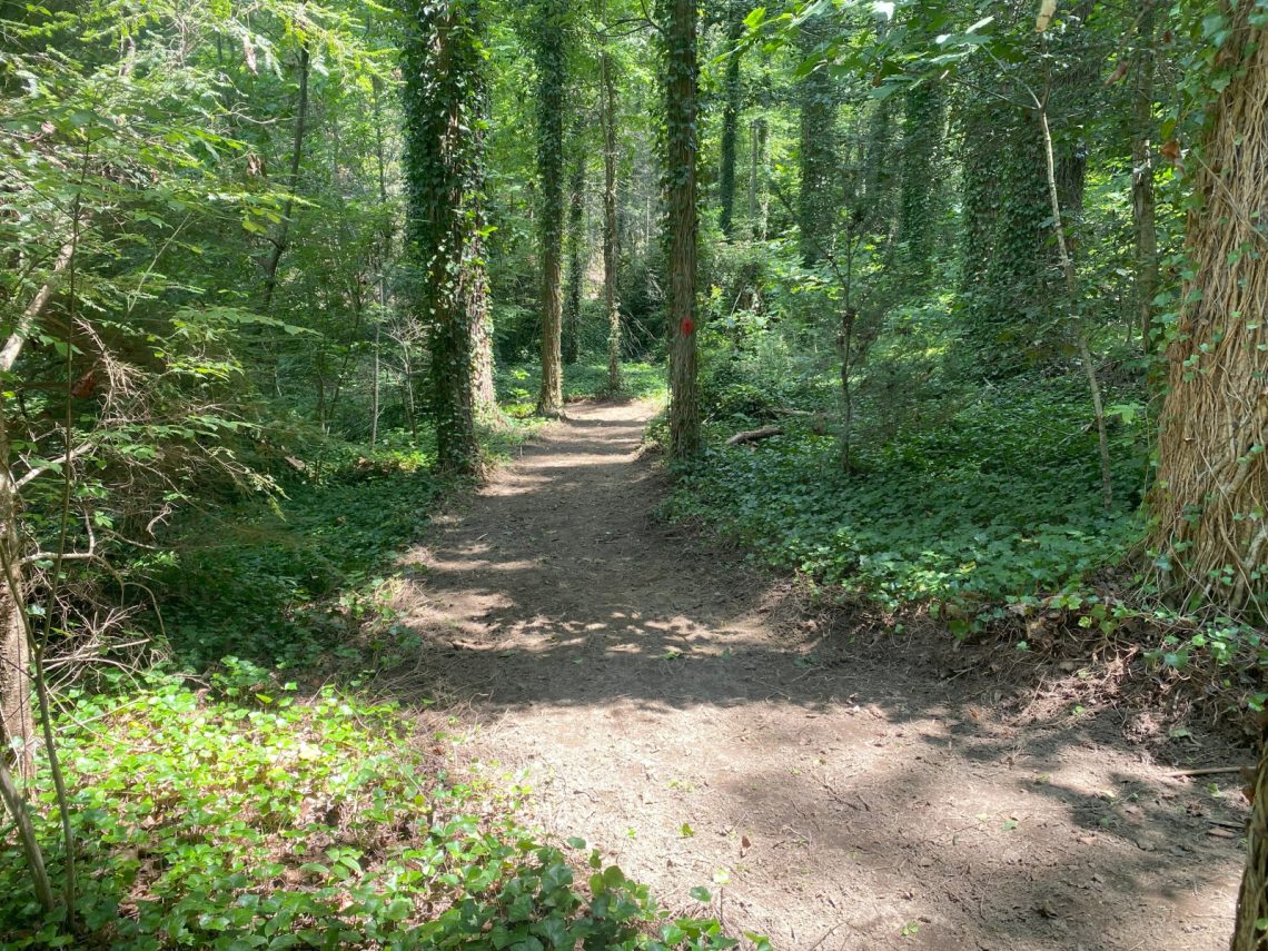 Church Trail System Opening - The Laurel of Asheville