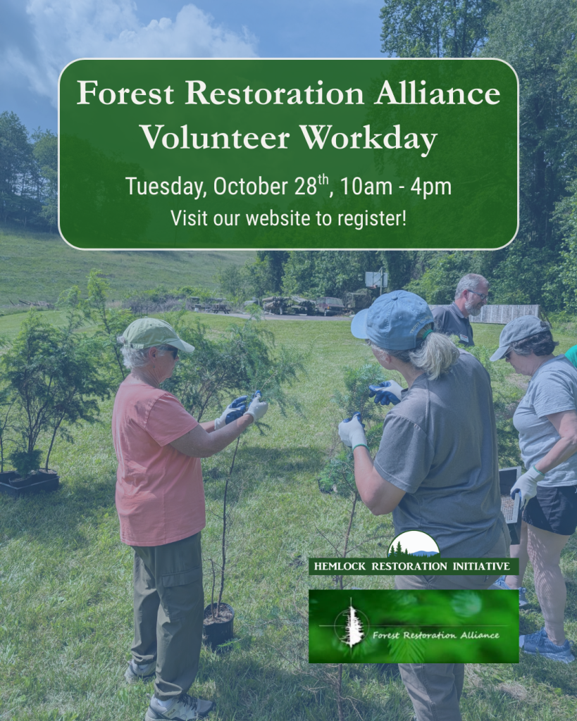 Volunteer Workday with Forest Restoration Alliance - The Laurel of ...