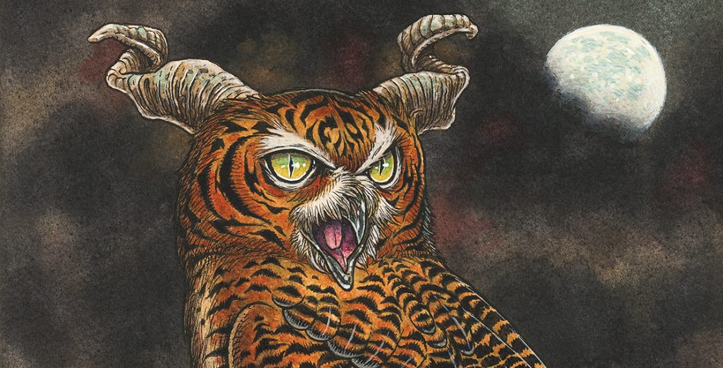 The Wild Truth: Owls ~ Creatures of the Night - The Laurel of Asheville