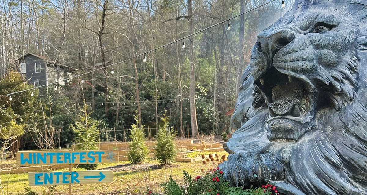 Winterfest Brings Holiday Magic to Lake Lure’s Grey Hawk Bar & Gardens ...