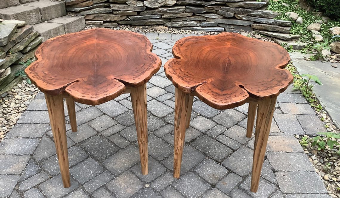 Feature Artist: Larry Ricci - The Laurel of Asheville