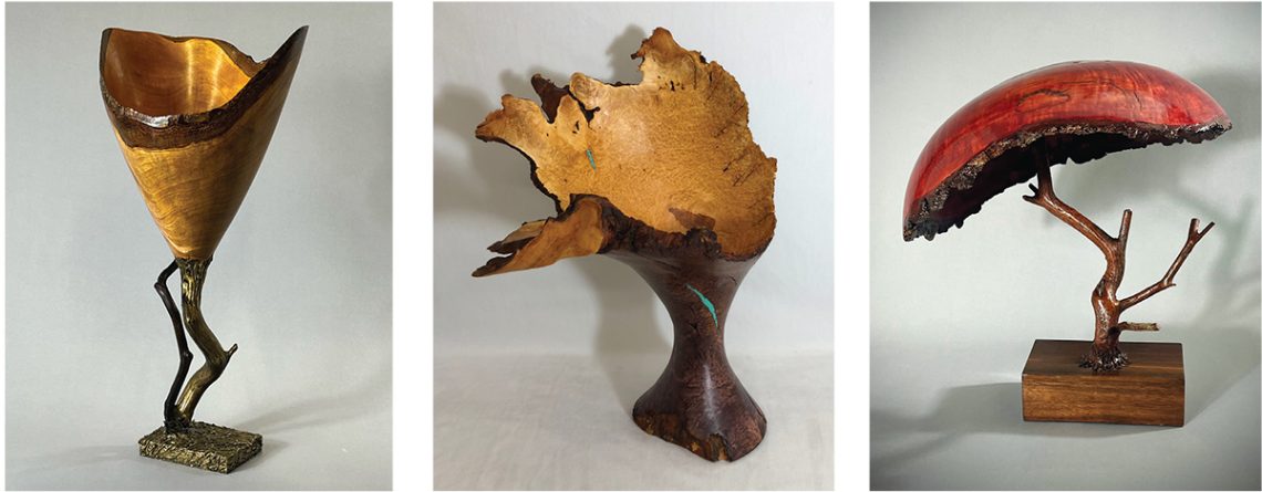 Feature Artist: Jim Brandon - The Laurel of Asheville