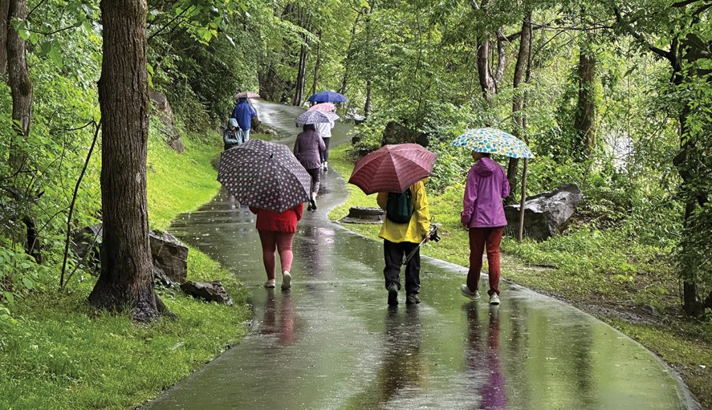 Outdoors: Jackson County’s Certified Therapy Trails Invite a Healthy ...