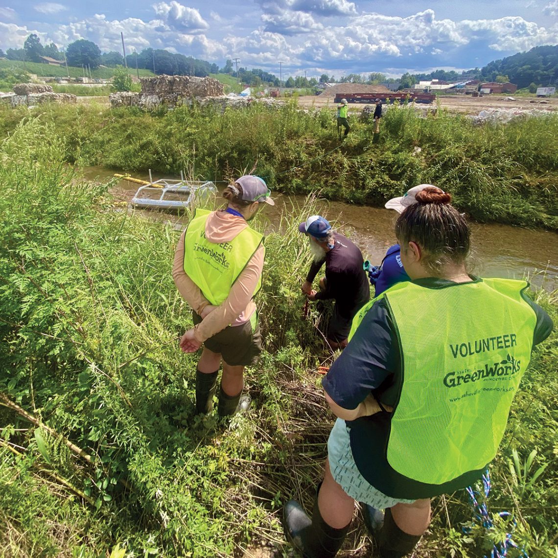 Celebrate Earth Day 2026 Volunteer to Help Save Our Planet - The Laurel ...